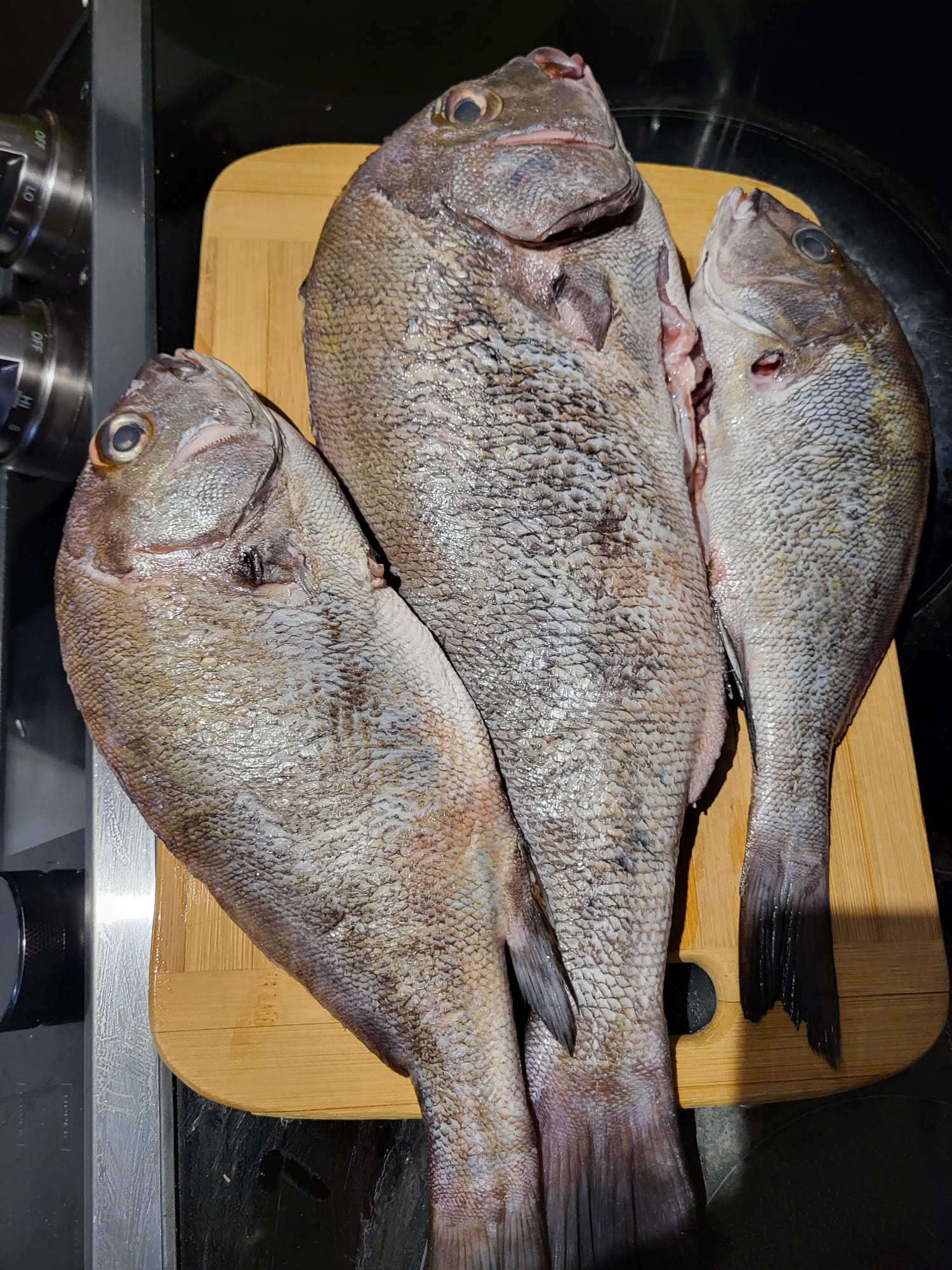 Dorade royale / Burro – La fraîcheur de L'Afrique dans votre assiette!